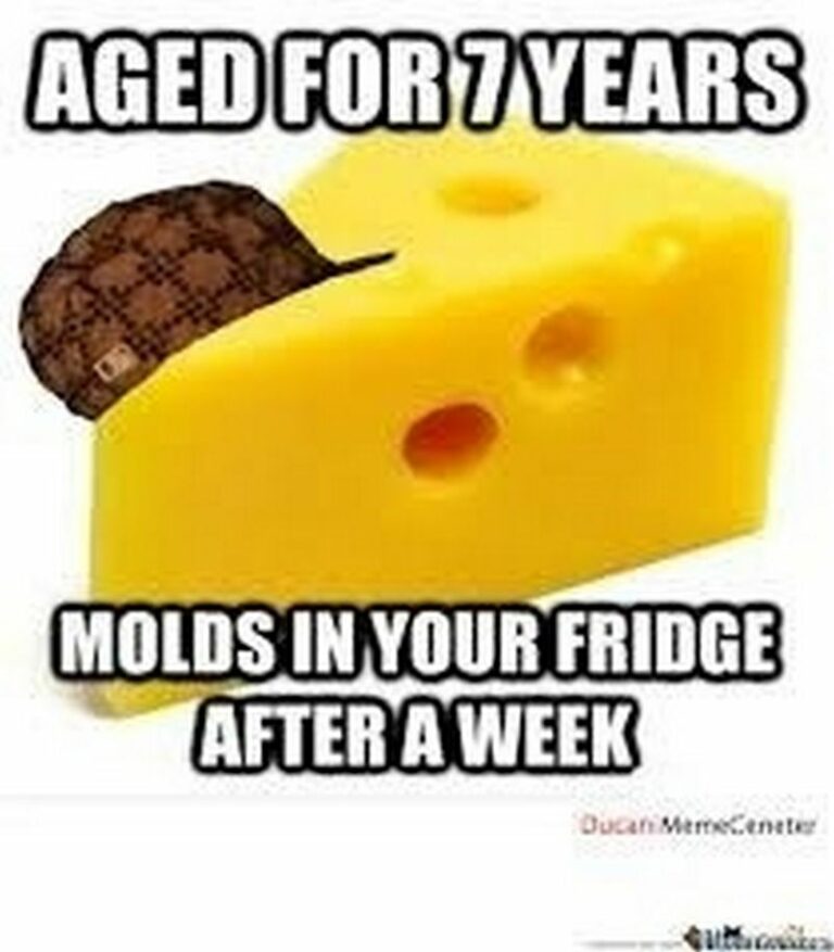35 Funny Cheese Memes With Extra Cheesiness