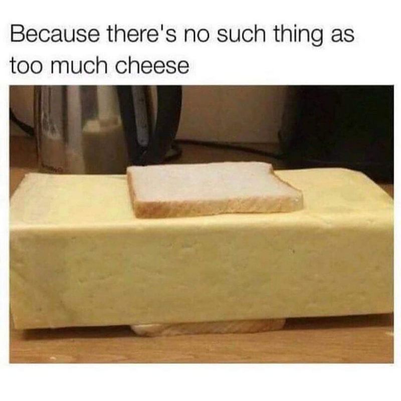 35 Funny Cheese Memes With Extra Cheesiness