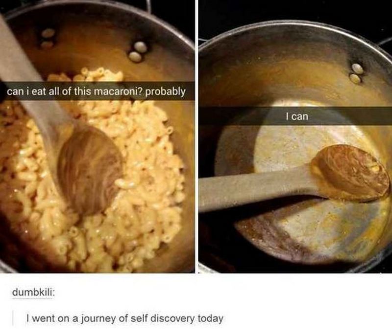 35 Funny Cheese Memes With Extra Cheesiness