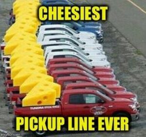 35 Funny Cheese Memes With Extra Cheesiness