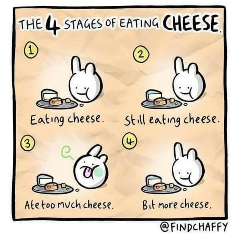 35 Funny Cheese Memes With Extra Cheesiness
