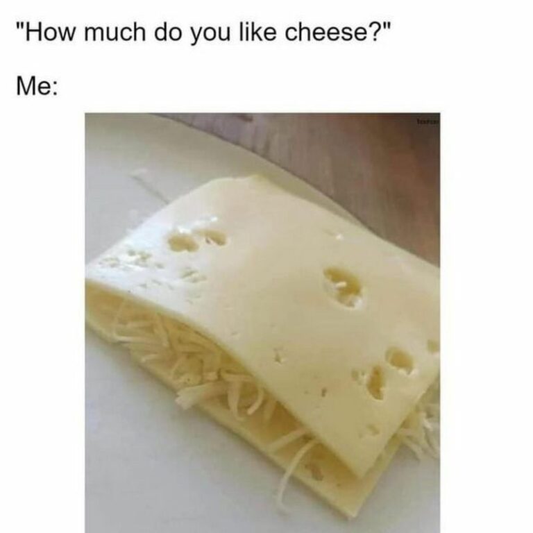35 Funny Cheese Memes With Extra Cheesiness