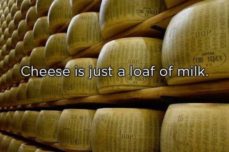 35 Funny Cheese Memes With Extra Cheesiness