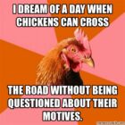 45 Funny Chicken Memes for 'Fowl' People
