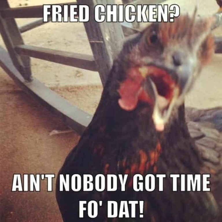 45 Funny Chicken Memes for 'Fowl' People