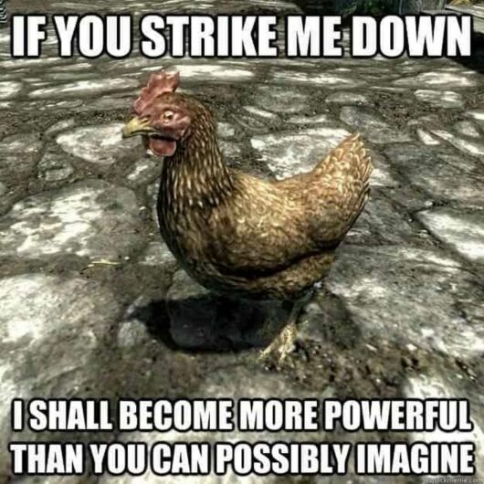 45 Funny Chicken Memes for 'Fowl' People