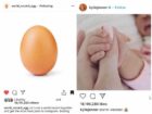 53 Funny Egg Memes That Won’t Break Your Budget