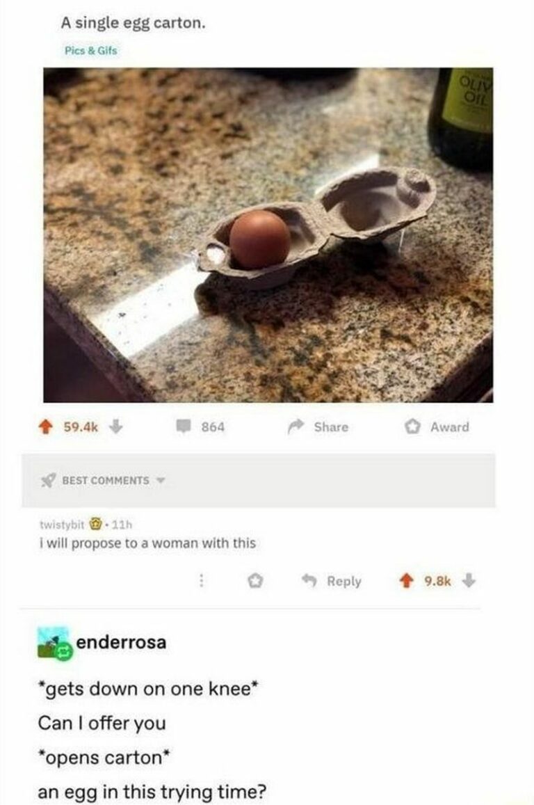 53 Funny Egg Memes That Won’t Break Your Budget