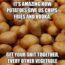 Top 25 Funny Potato Memes