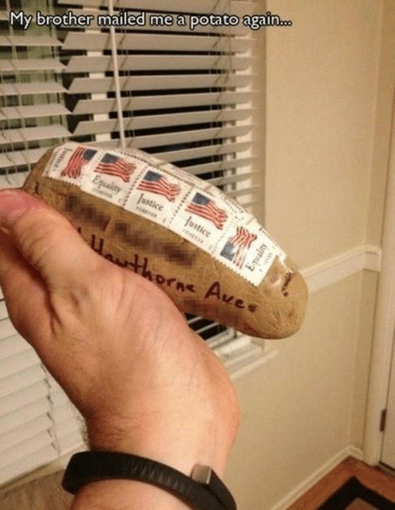 Top 25 Funny Potato Memes