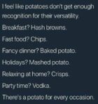 Top 25 Funny Potato Memes