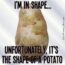 Top 25 Funny Potato Memes
