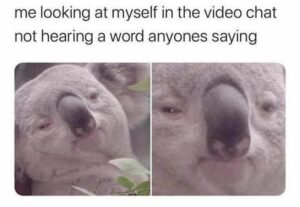 39 Funny Zoom Memes That Are 100% Relatable
