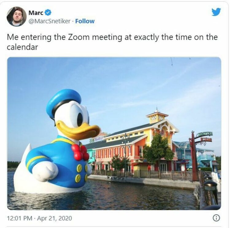 39 Funny Zoom Memes That Are 100% Relatable