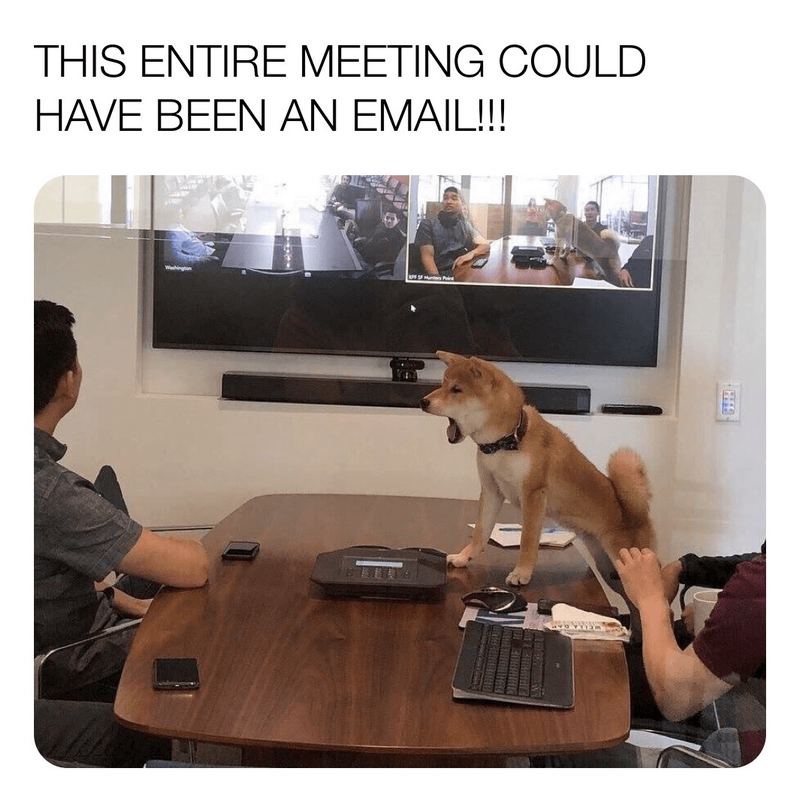 39 Funny Zoom Memes That Are 100% Relatable