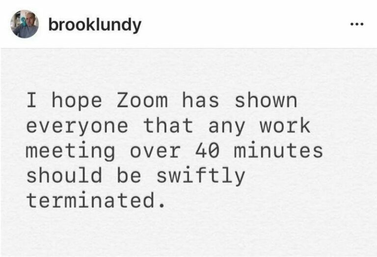 39 Funny Zoom Memes That Are 100% Relatable