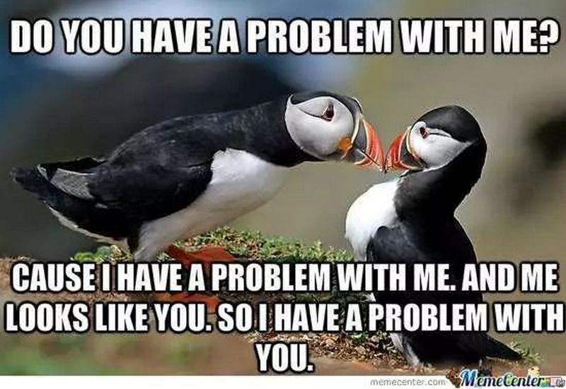 43 Funny Bird Memes for Bird Lovers