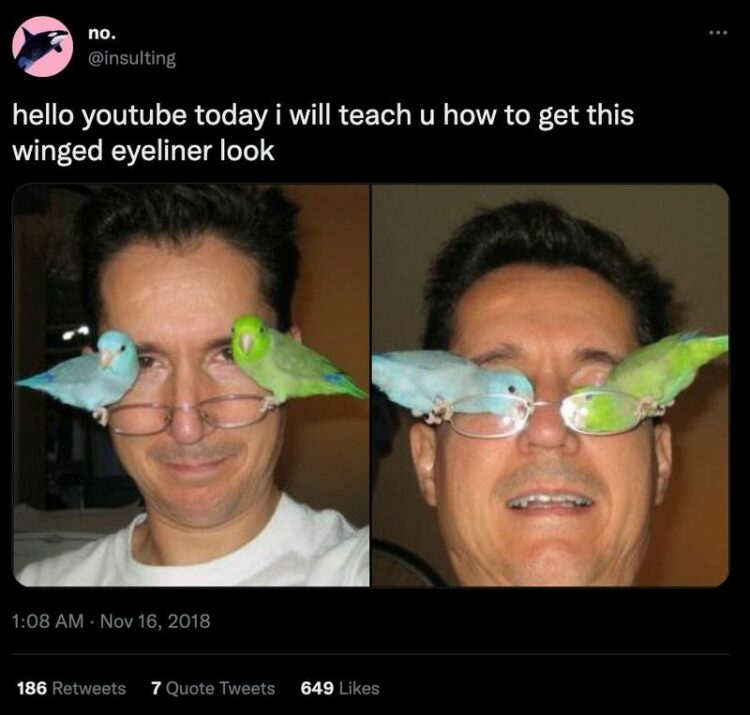 43 Funny Bird Memes for Bird Lovers