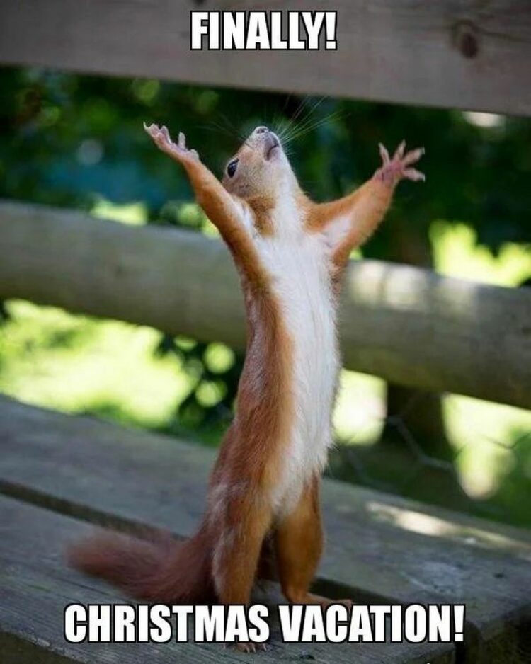 41 Funny National Lampoon’s Christmas Vacation Memes