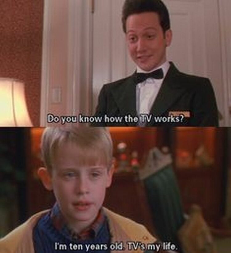 43 Funny Home Alone Memes