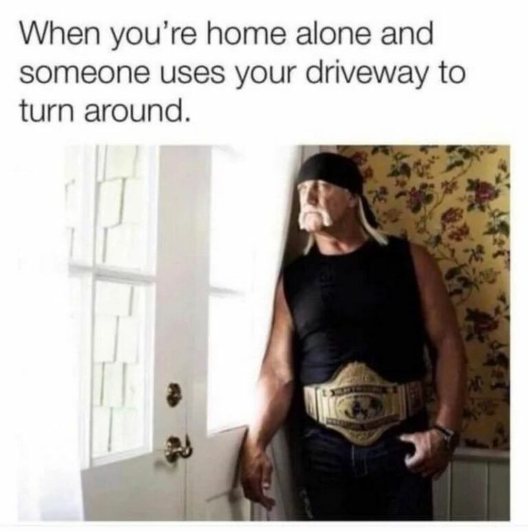 43 Funny Home Alone Memes