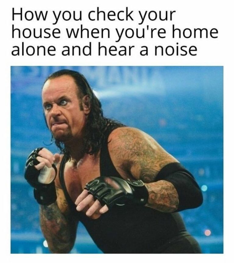 43 Funny Home Alone Memes