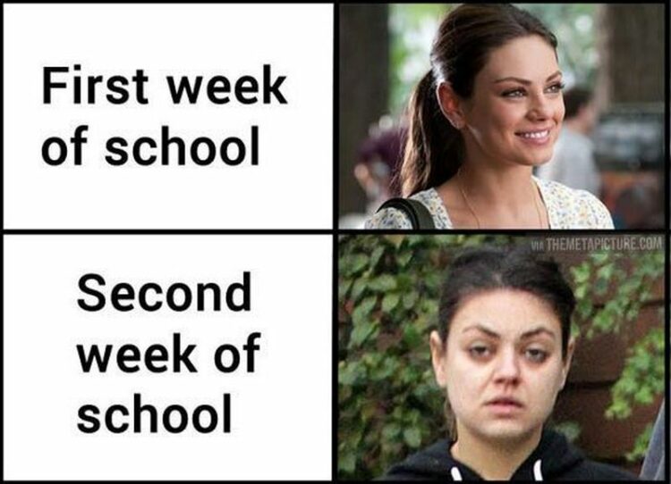 31 Funny College Memes About College Life