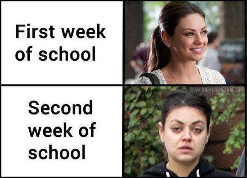 31 Funny College Memes About College Life