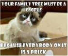 39 Funny Family Memes Filled With Love