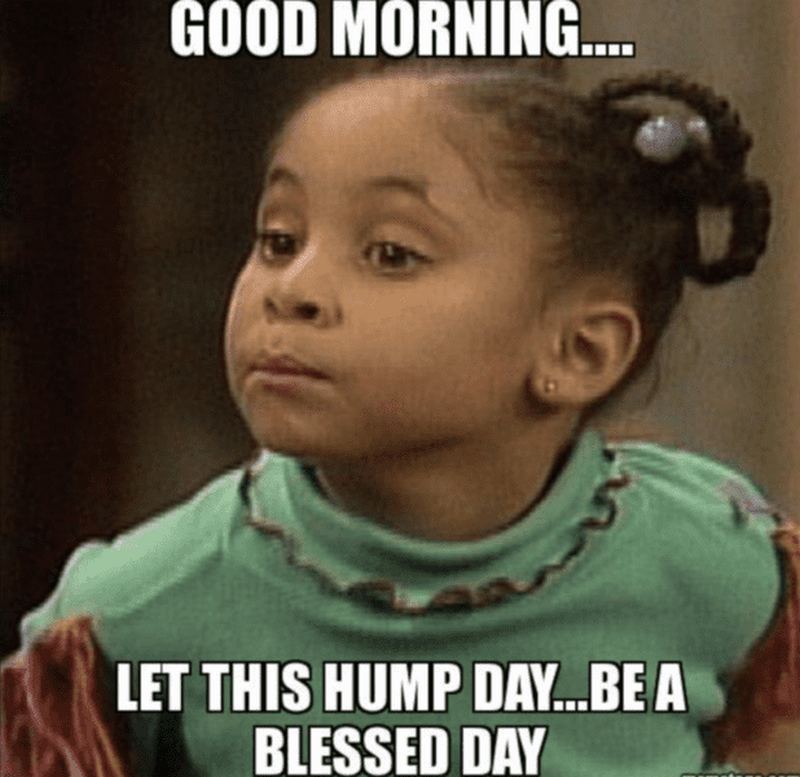 59 Happy Hump Day Memes