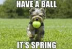 45 Spring Memes When You’d Love a Break From the Cold