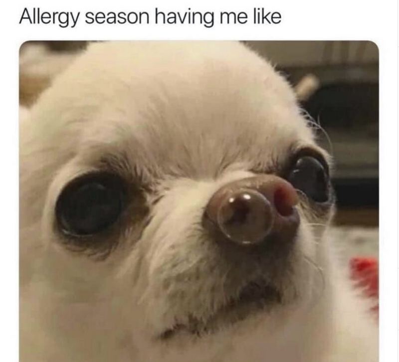 45 Spring Memes When You’d Love a Break From the Cold