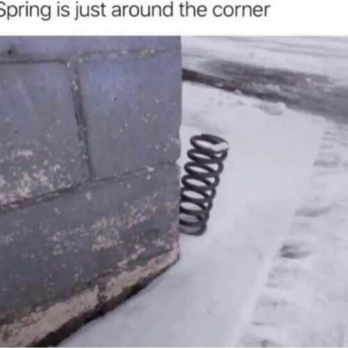 45 Spring Memes When You’d Love a Break From the Cold