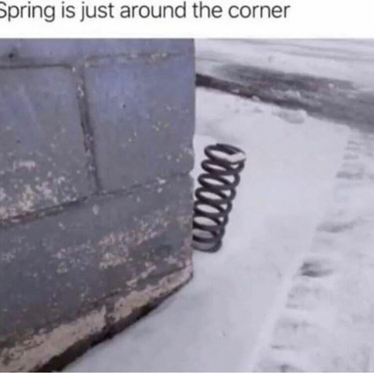 45 Spring Memes When You’d Love a Break From the Cold