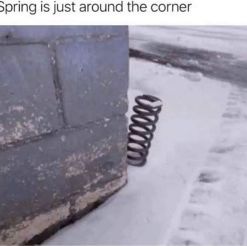 45 Spring Memes When You’d Love a Break From the Cold