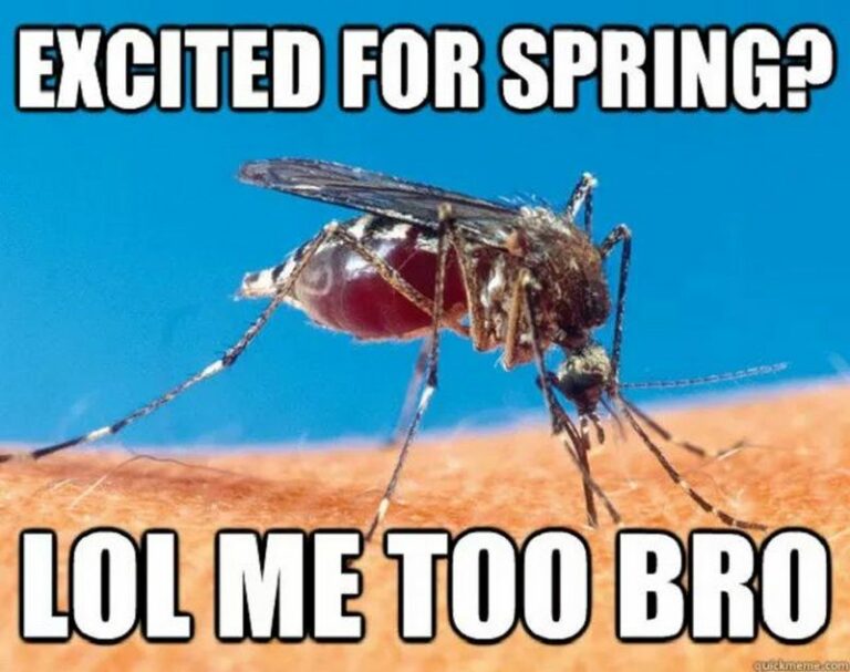 45 Spring Memes When You’d Love a Break From the Cold