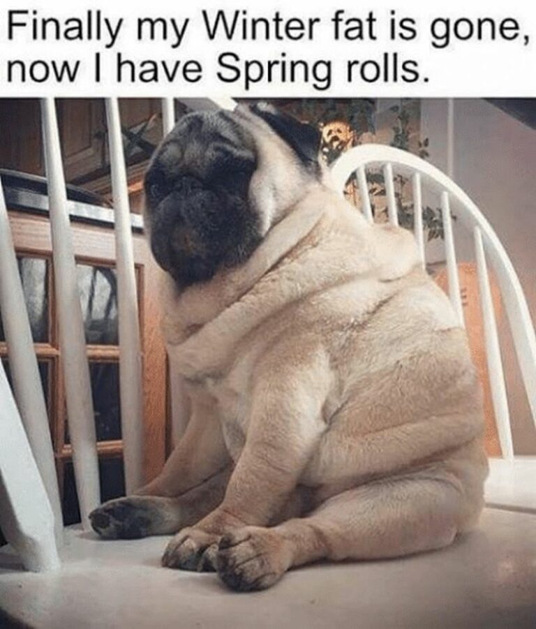 45 Spring Memes When You’d Love a Break From the Cold
