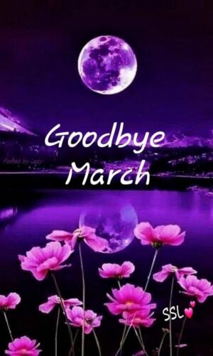 45 Spring Memes When You’d Love a Break From the Cold