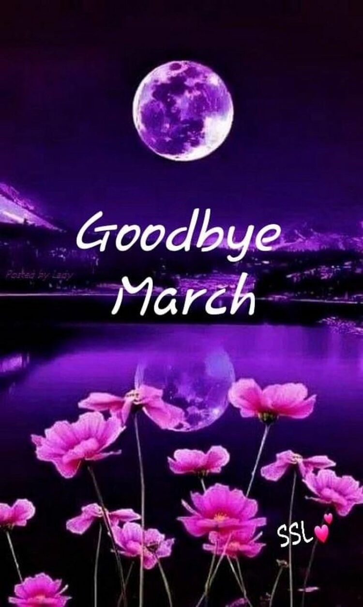 45 Spring Memes When You’d Love a Break From the Cold