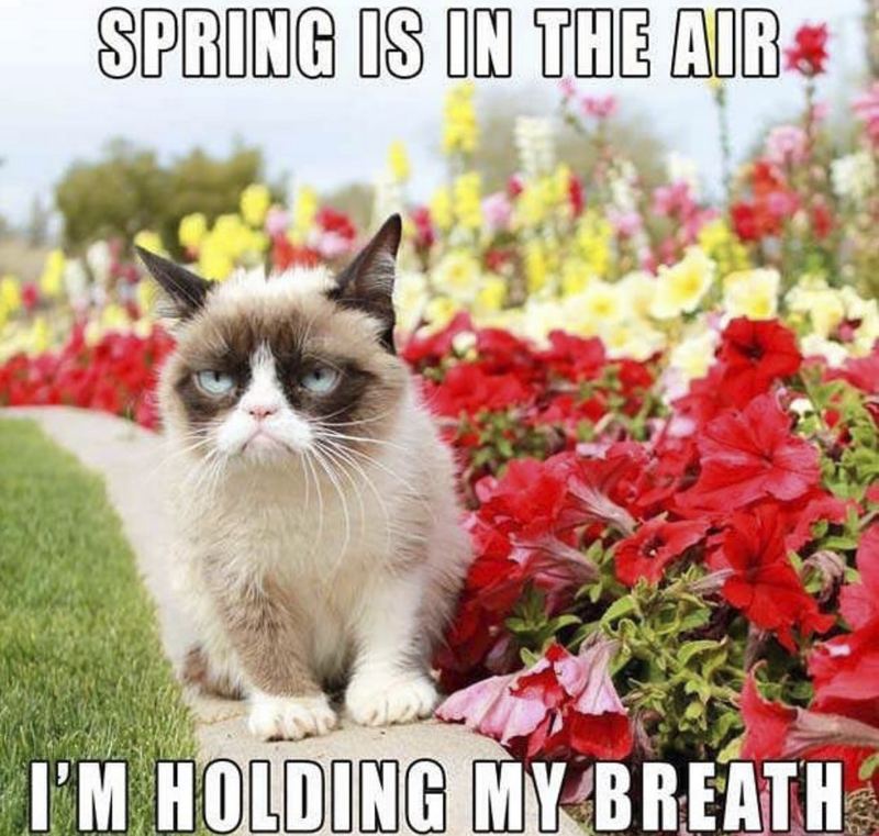 45 Spring Memes When You’d Love a Break From the Cold
