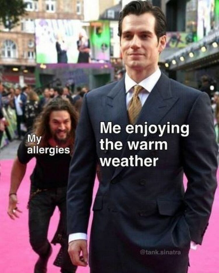 45 Spring Memes When You’d Love a Break From the Cold