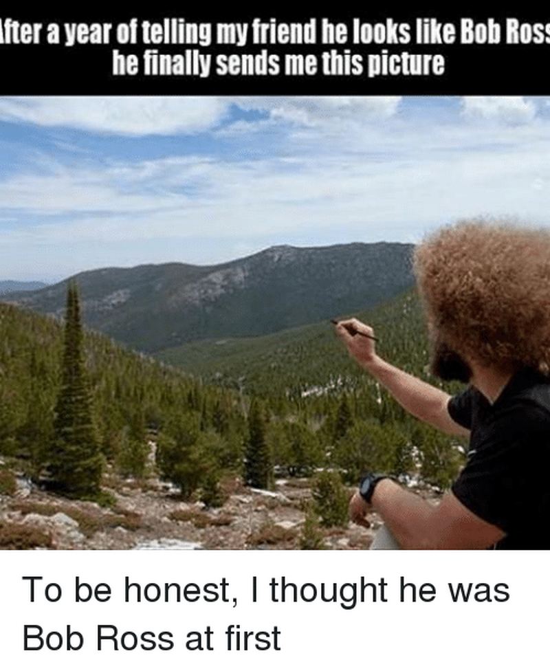 33 Best Bob Ross Memes