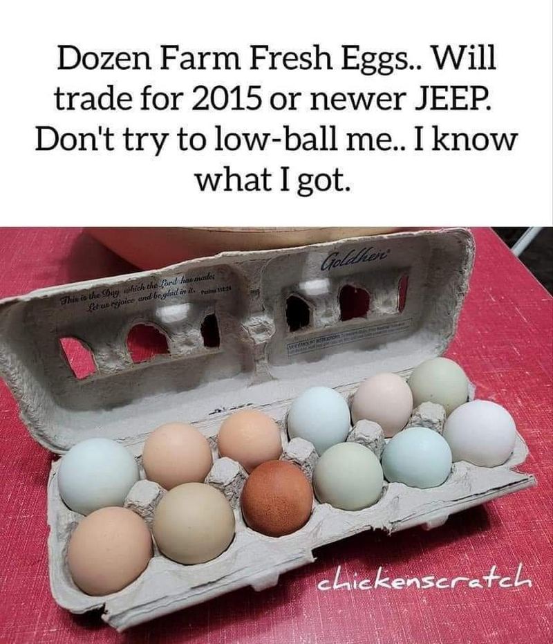 53 Funny Egg Memes That Won’t Break Your Budget