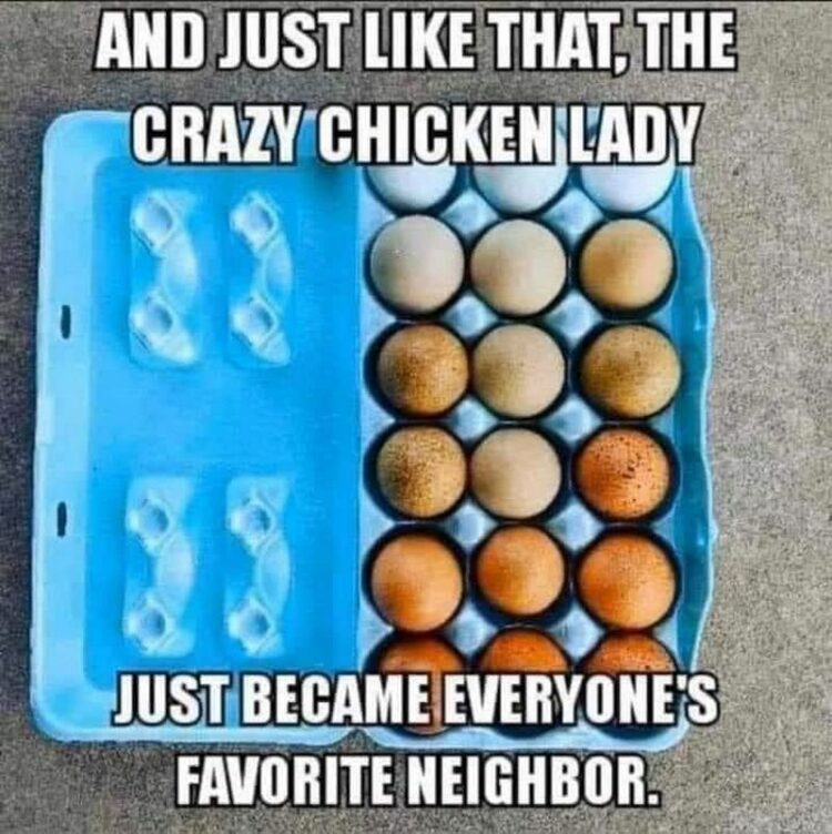 53 Funny Egg Memes That Won’t Break Your Budget