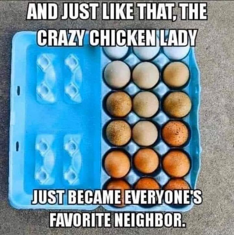 53 Funny Egg Memes That Won’t Break Your Budget