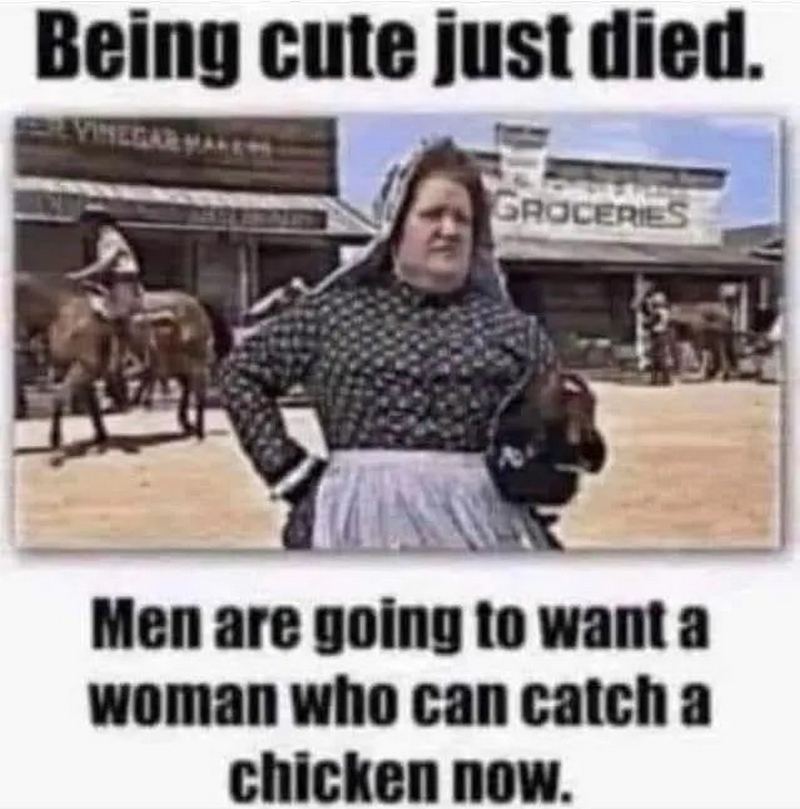 53 Funny Egg Memes That Won’t Break Your Budget