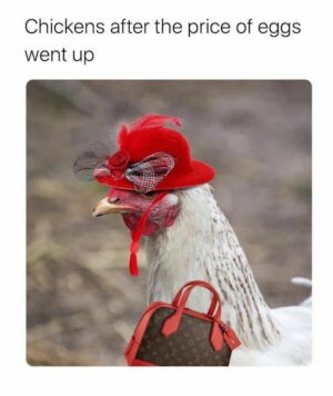 53 Funny Egg Memes That Won’t Break Your Budget