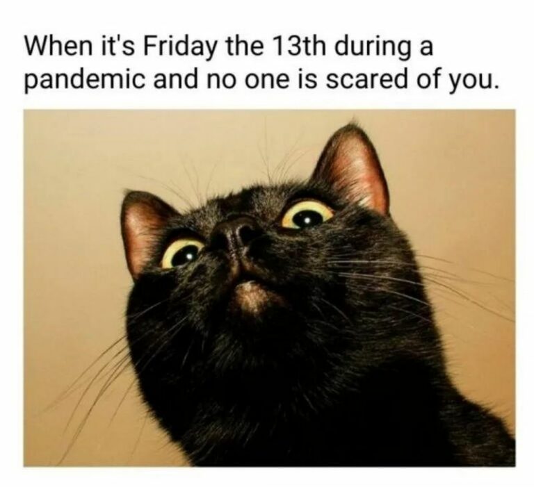 43 Funny Friday the 13th Memes