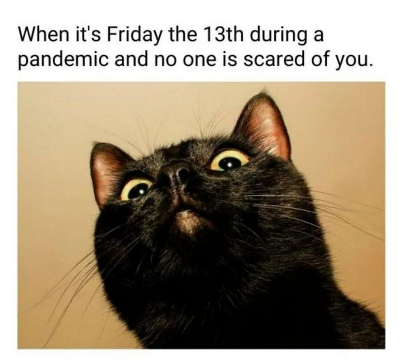 43 Funny Friday the 13th Memes