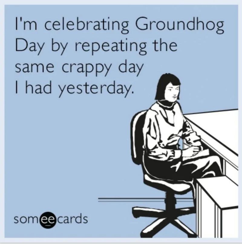 41 Funny Groundhog Day Memes
